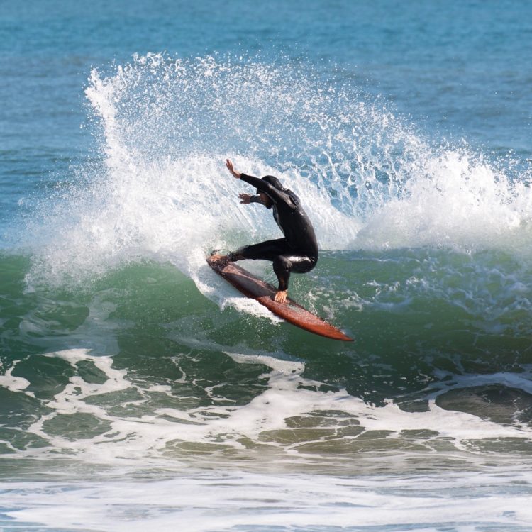 S-Wings - Créateur et distributeur de dérives biomimétiques pour le surf