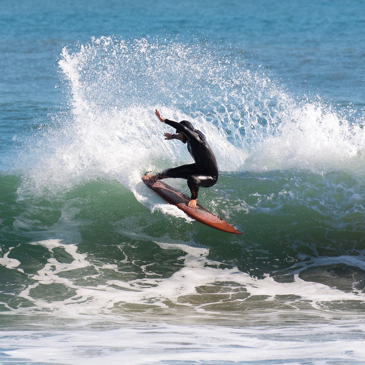 S-Wings - Créateur et distributeur de dérives biomimétiques pour le surf